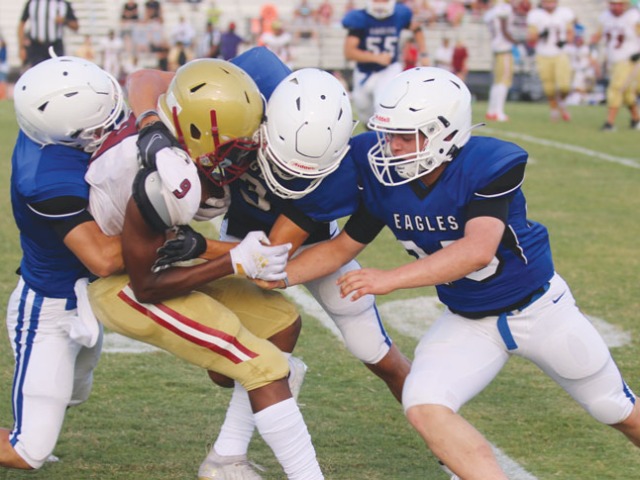 Decatur High School (Decatur, TX) Athletics
