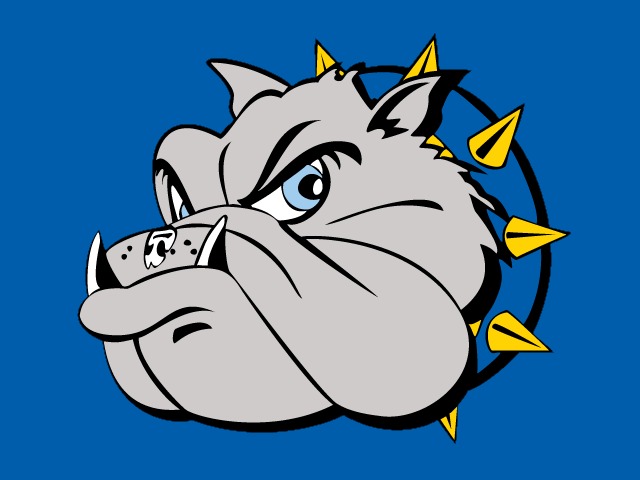 Decatur High School (Decatur, TX) Athletics