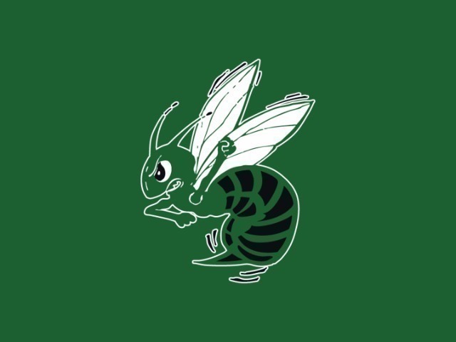 Junior Davis Slatkovsky leads Varsity Bowling in Win Against Hudson and ...