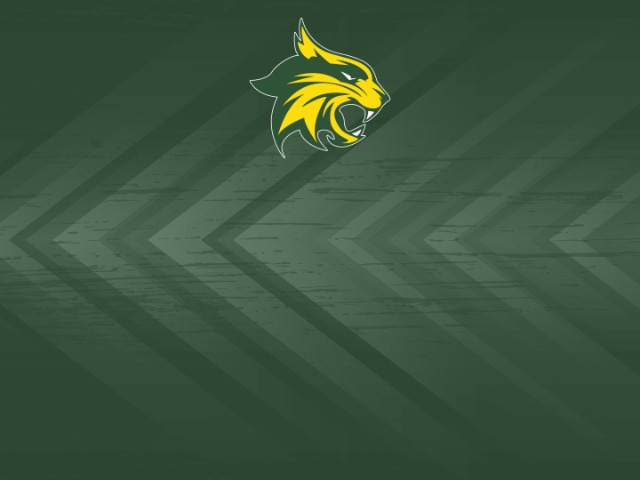About Mascot Media - Benbrook High School | Benbrook High School ...
