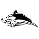 Decatur High School (Decatur, TX) Athletics