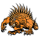 Decatur High School (Decatur, TX) Athletics