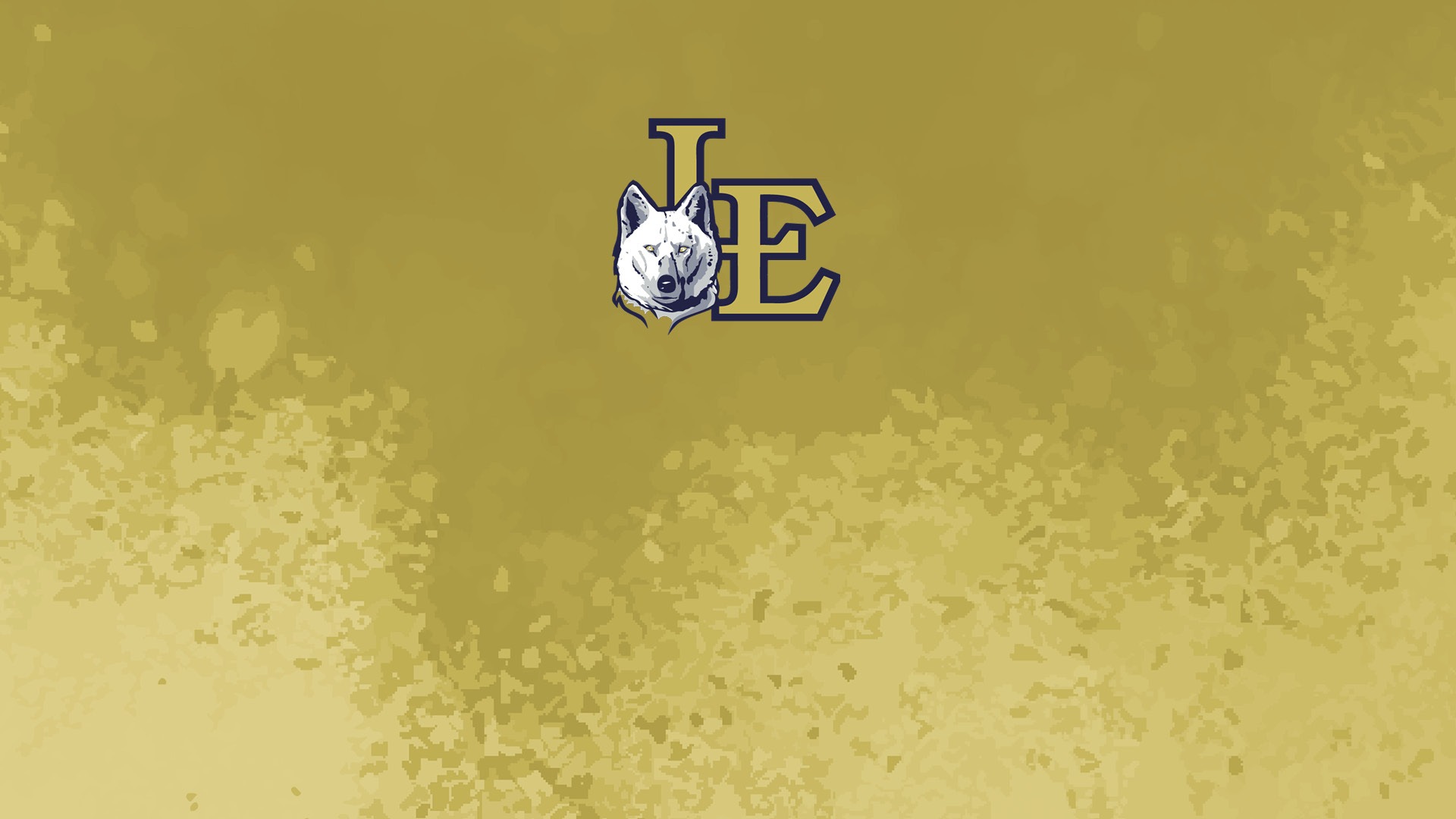 Little Elm High School (Little Elm, TX) Athletics