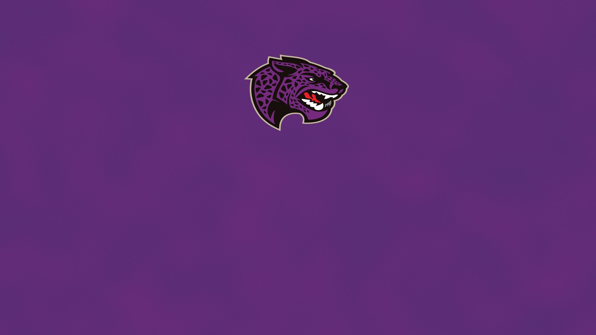 LBJ High School (Austin, TX) Athletics