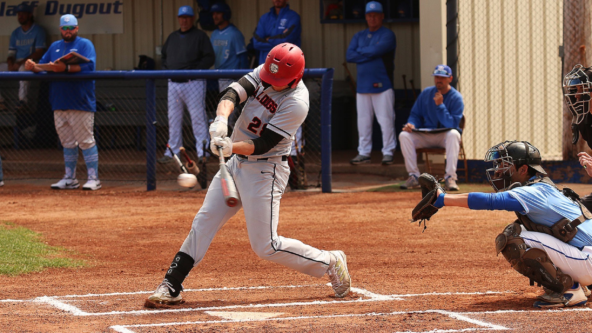 Plainview High School (Plainview, TX) Athletics