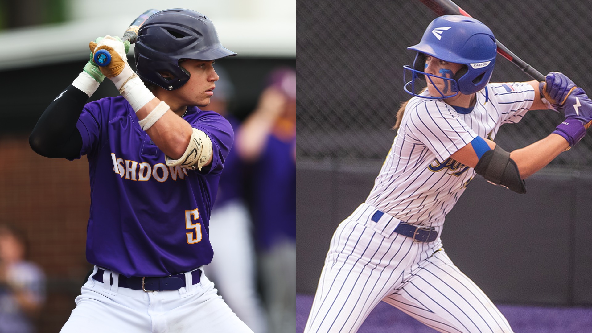 2026 Softball Postseason Sites Announced - AAA